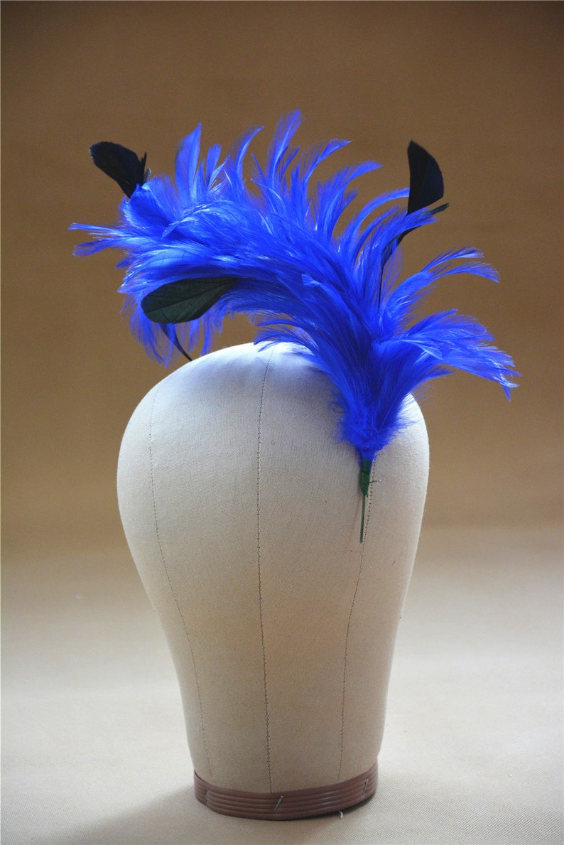 The Price is for 2pcs Royal Blue Hackle Coque Striped Feather - Etsy