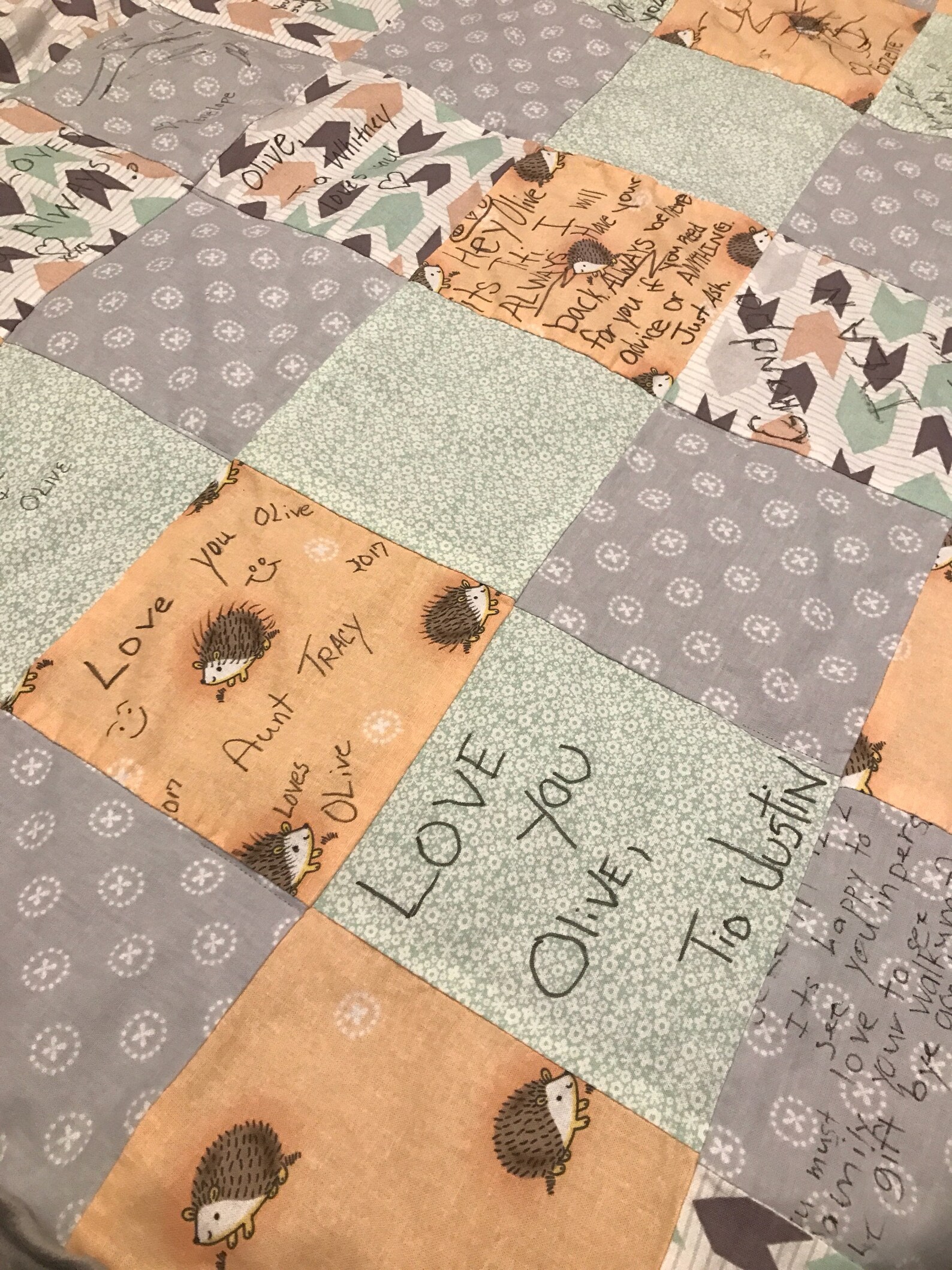 Cactus Baby Shower Quilt Kit Cacti Baby Shower Gift Desert - Etsy