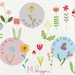 Dainty Floral Embroidery Designs, 14 Machine Embroidery Flowers ...