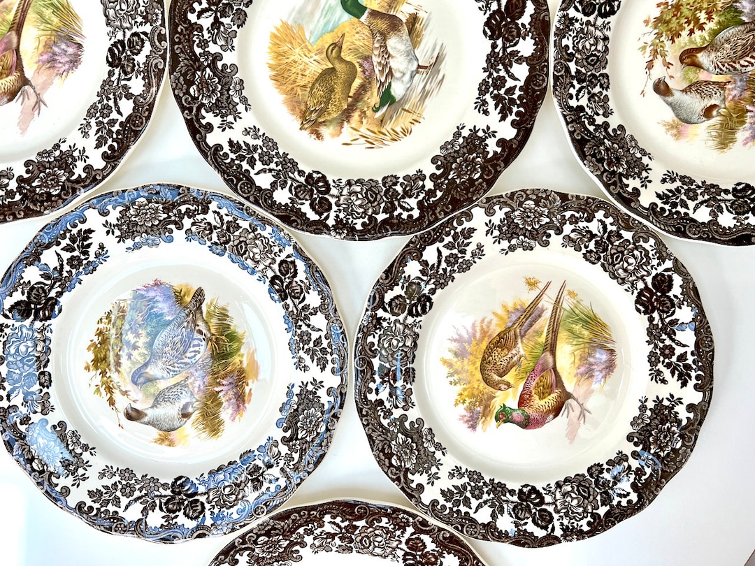 Palissy Pottery (england) 'game Series - Birds' Dinner Plates (set X6 ...