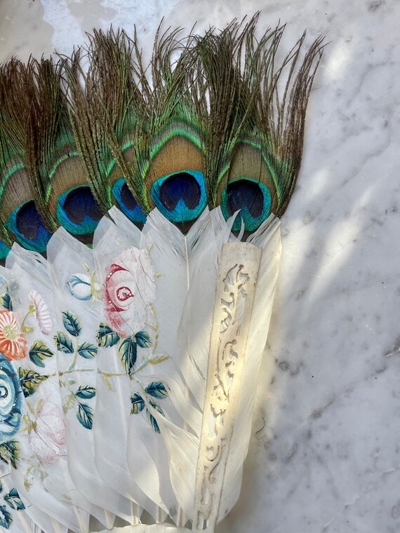 Antique Qing Dynasty Hand painted Chinese Peacock Fea… - Gem