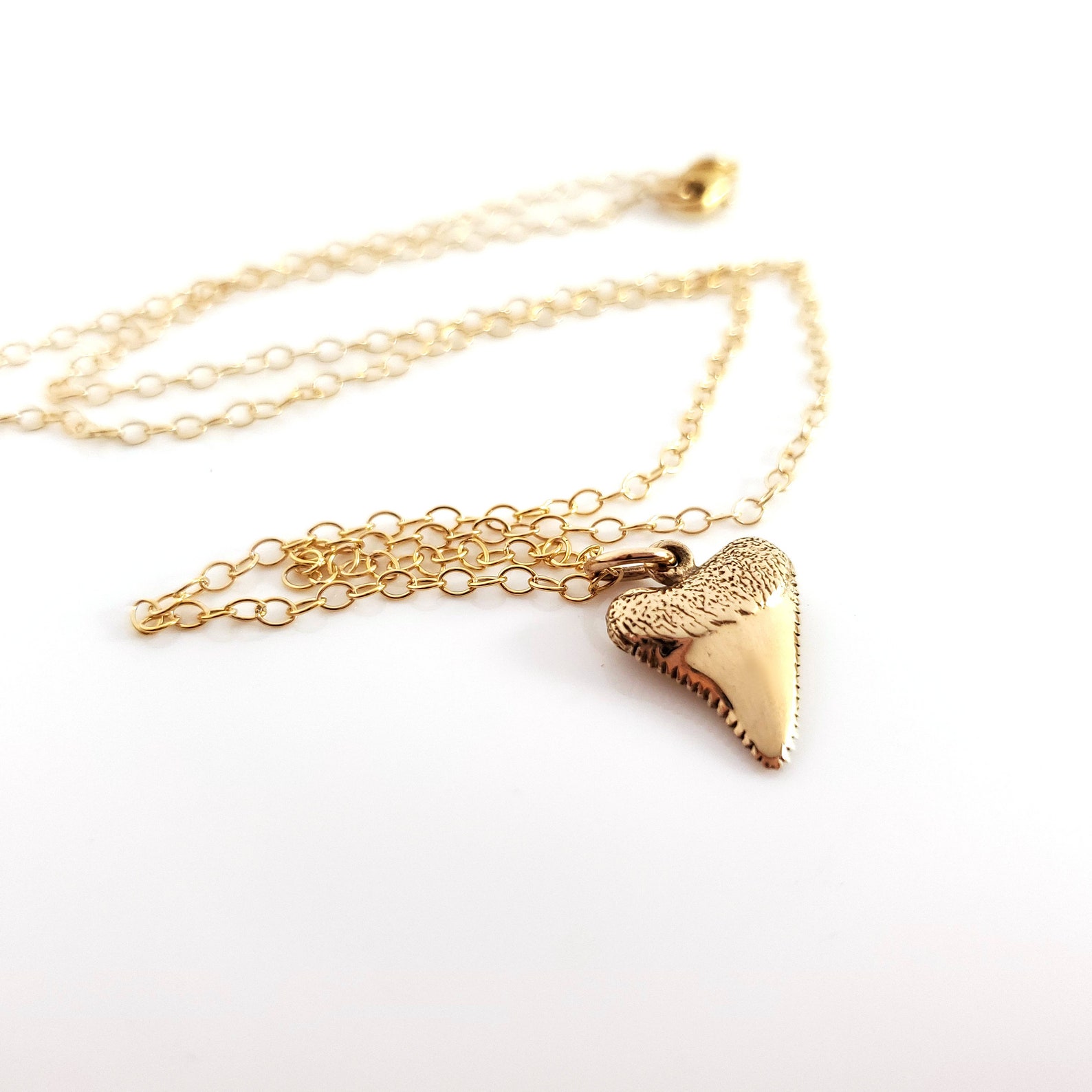 Shark Tooth Charm Necklace - Dainty 14k Gold Filled Jewelry - Gift for ...