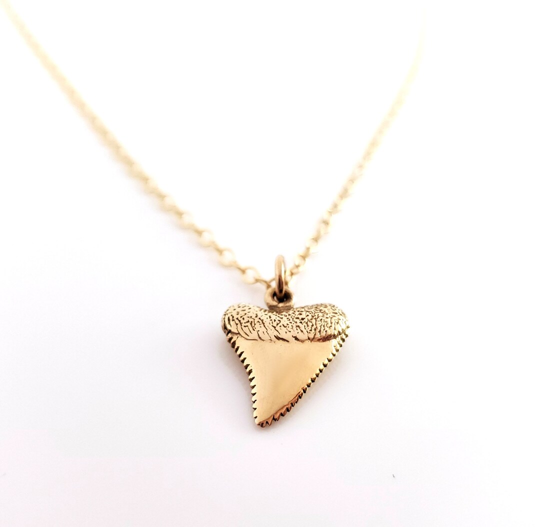 Shark Tooth Charm Necklace - Dainty 14k Gold Filled Jewelry - Gift for ...