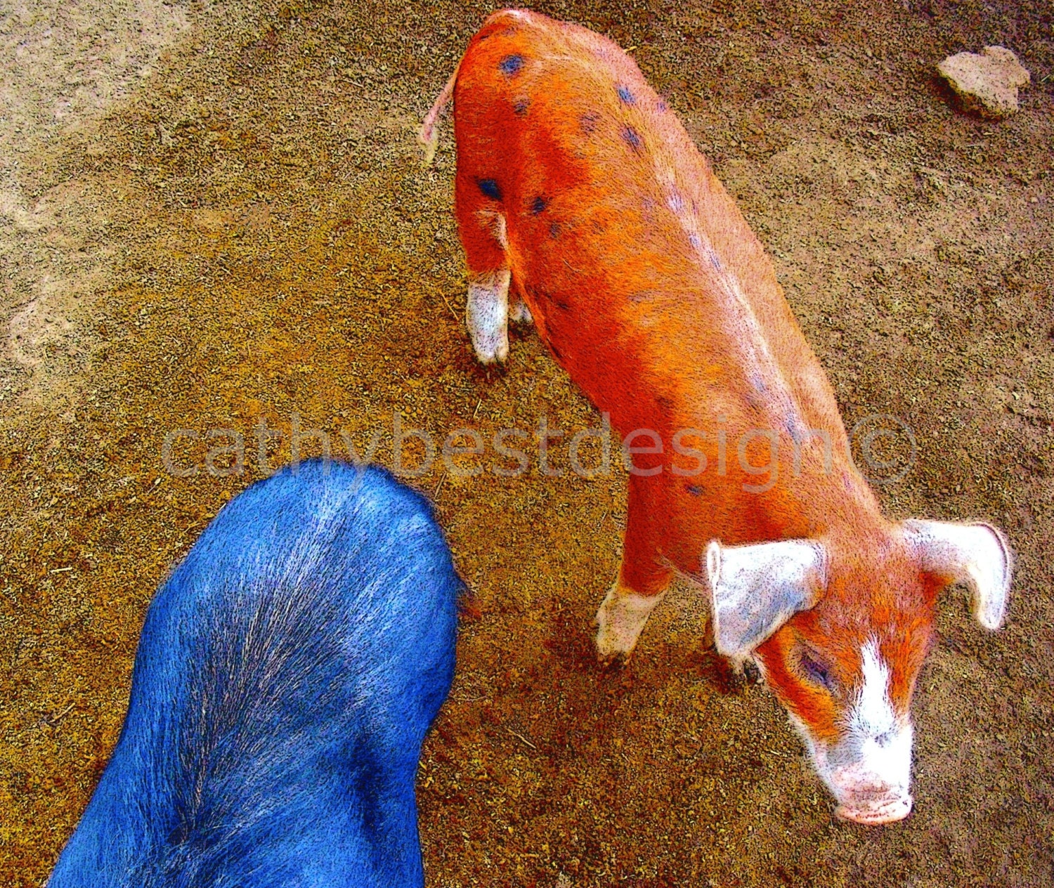 Red Pig Blue Pig Graphic Fine Art Photograph - Etsy