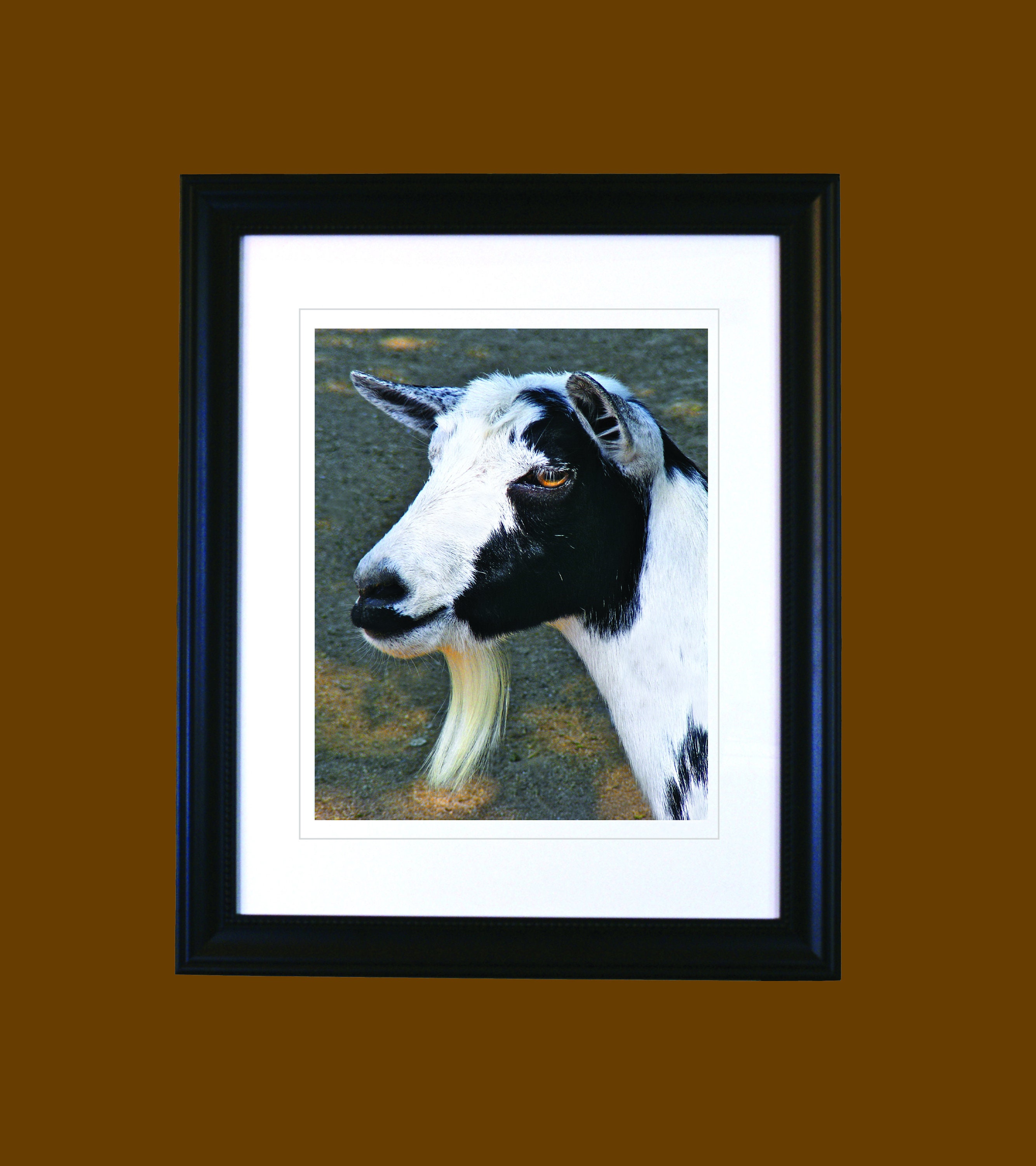 Goat With Moustache and Goatee Handsome Devil Fun Art Photograph - Etsy