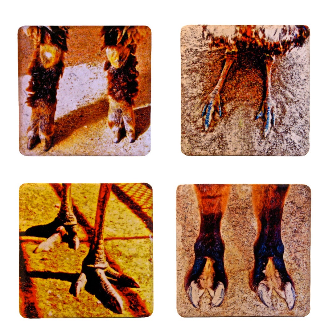 Emu and Llama Legs 4 Art Tile Coaster Set With Black Wooden Display Box ...