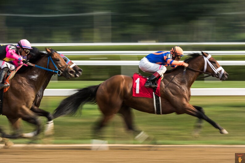 Number 1, Saratoga Race Track Photography, Equestrian, Equine, Horse ...