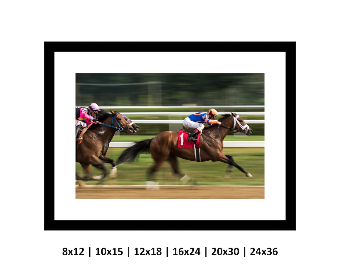 Number 1, Saratoga Race Track Photography, Equestrian, Equine, Horse ...