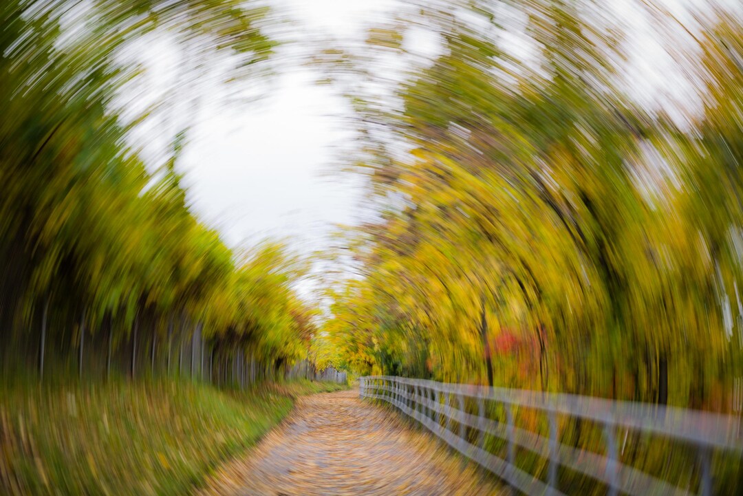 Bike Ride, Landscape Photography Print, Wall Art - Etsy