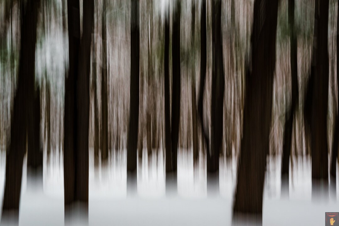 Dazed & Confused, Landscape Photography Print, Wall Art, Eyewashere - Etsy