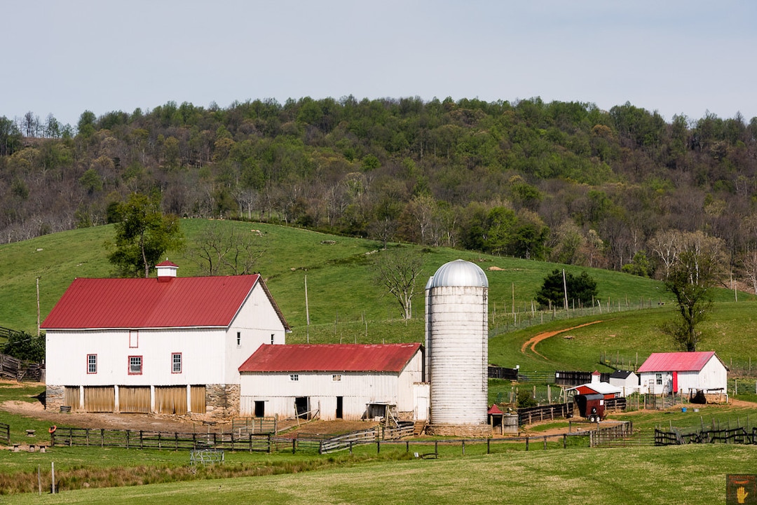 White Farm, Landscape Photography Print, Culpeper VA, Wall Art ...