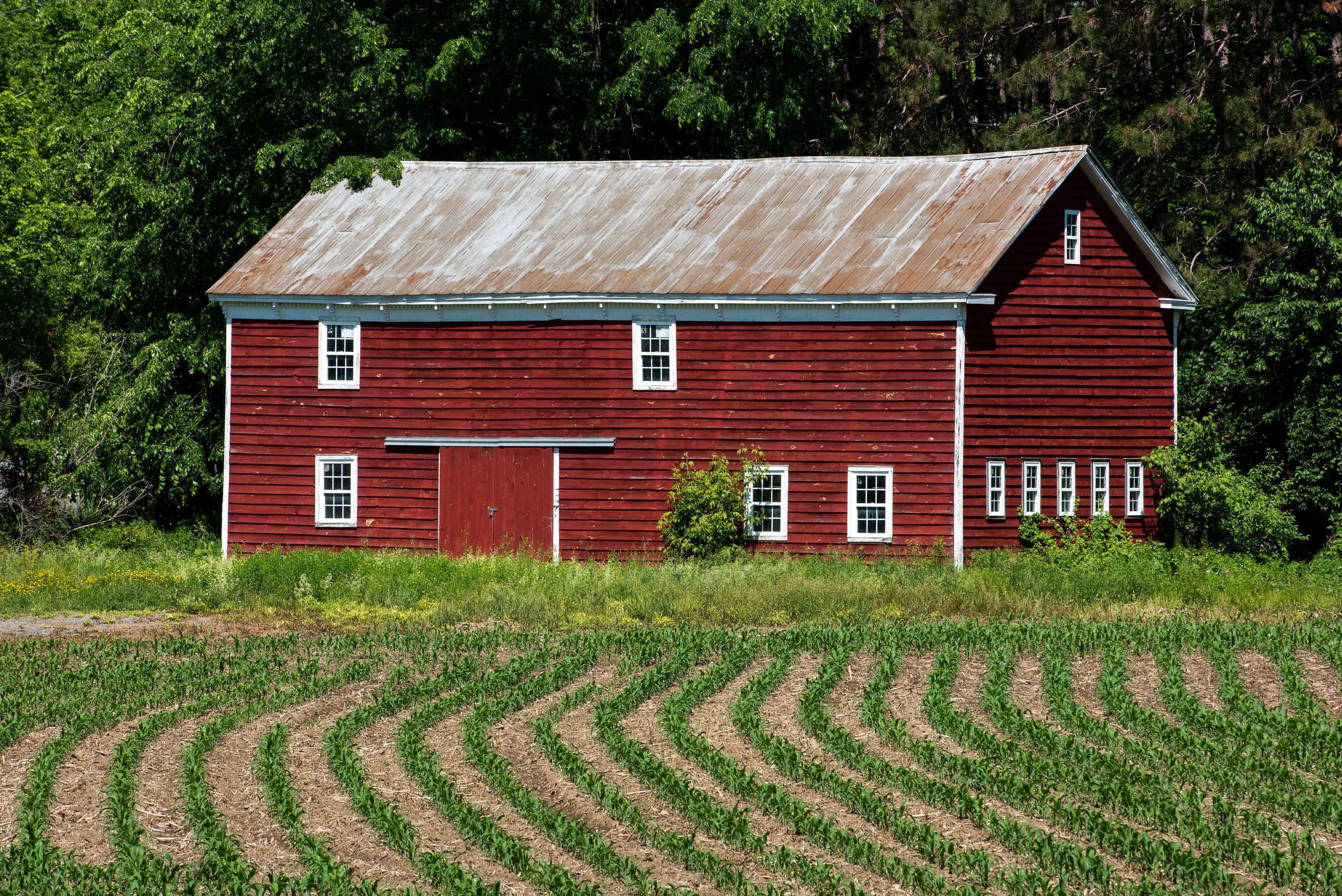 Red Barn, Landscape Photography Print, Farm Photo, Nature, Wall Art - Etsy