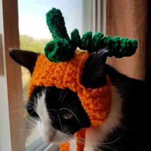 MADE TO ORDER Pumpkin Cat Hat-cat Hats- Hats for Cats- Pumpkin Cat ...