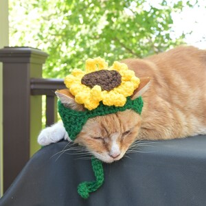 MADE TO ORDER Sunflower Cat Hat- Hats for Cats- Clothes for Cats - Etsy
