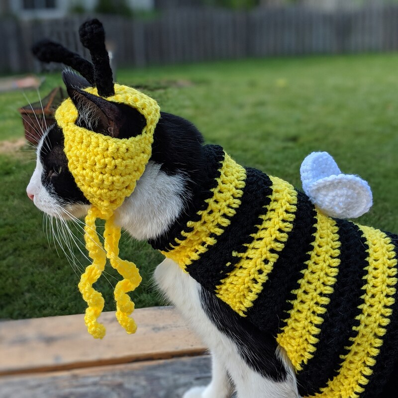 Dog Halloween Bee Costume - Etsy