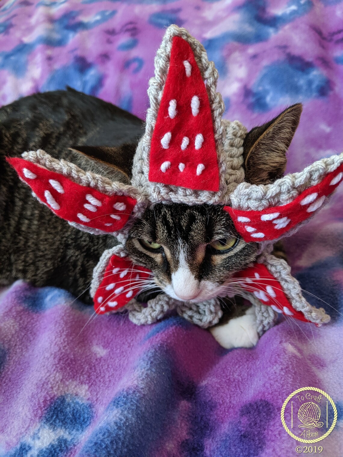 MADE TO ORDER Catogorgon Cat Hat-Cat Costumes-Cat Hats | Etsy