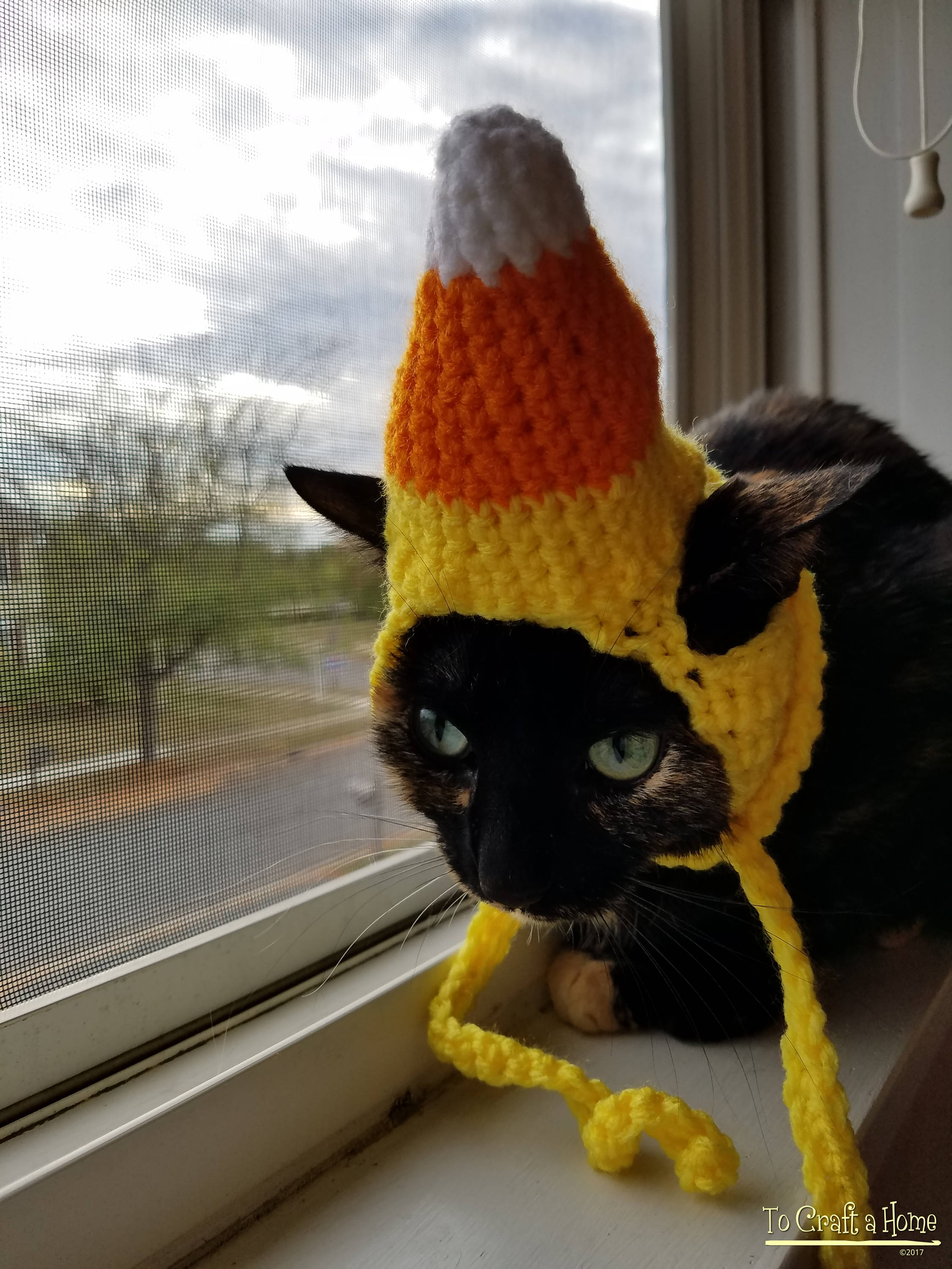 Candy Corn Cat Hat | Etsy