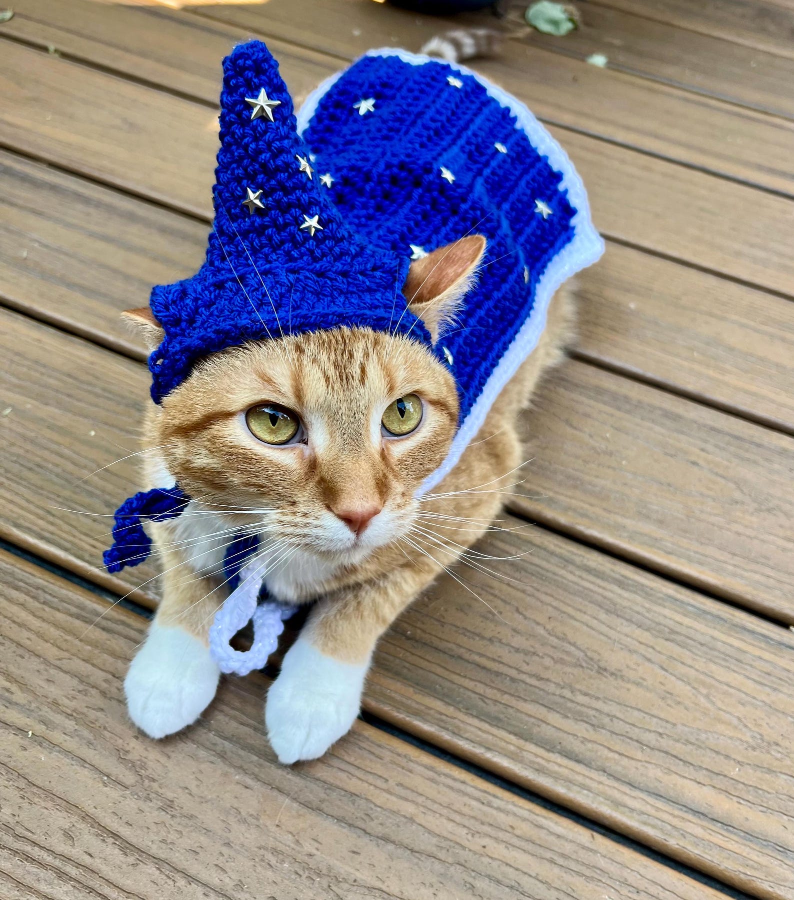 Wizard Cat Hat and Cape Costume Crochet Pattern PDF - Etsy
