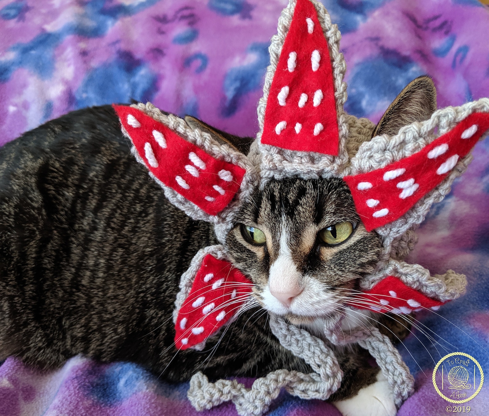 MADE TO ORDER Catogorgon Cat Hat-Cat Costumes-Cat Hats | Etsy