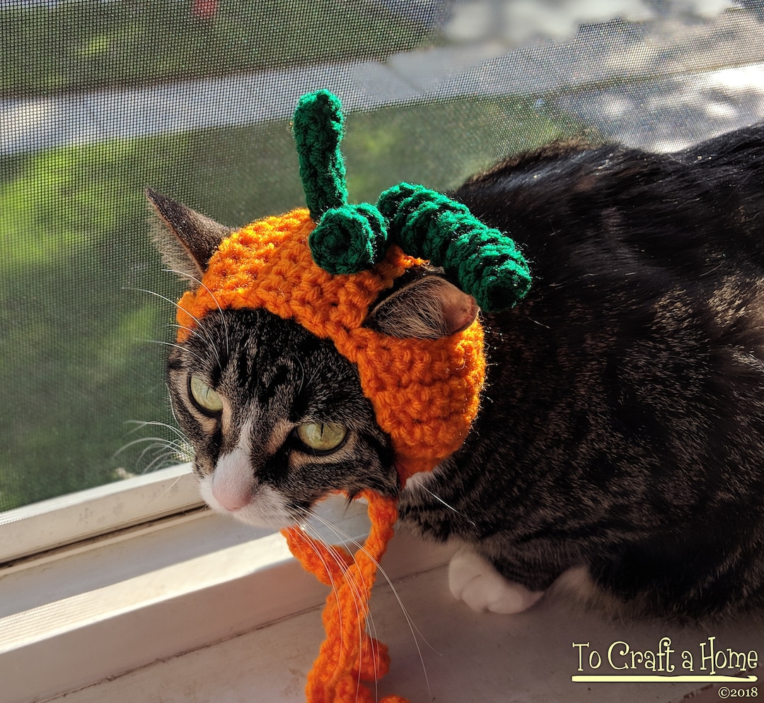 MADE TO ORDER Pumpkin Cat Hat-cat Hats- Hats for Cats- Pumpkin Cat ...