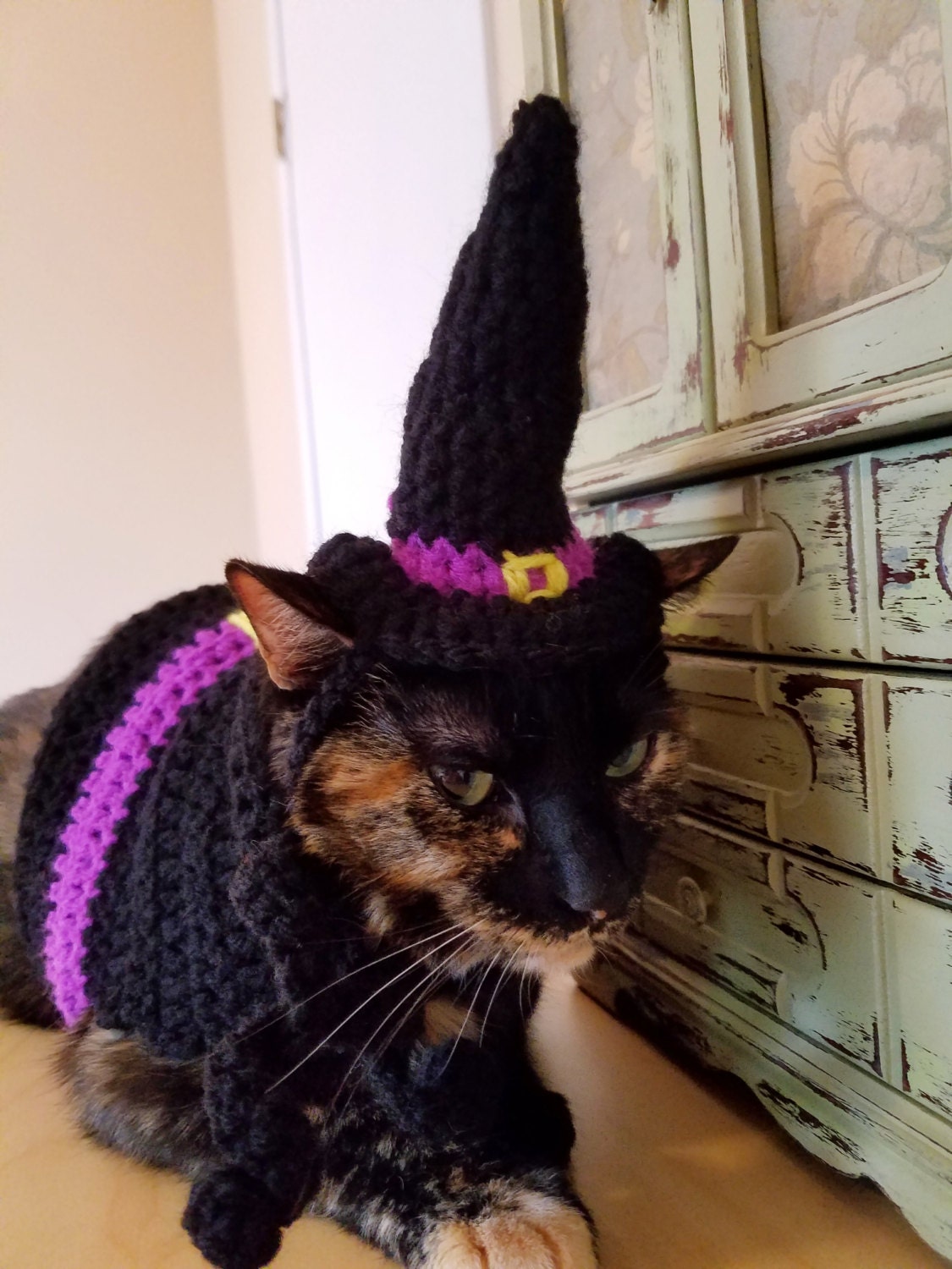 MADE TO ORDER Cat Witch Costume with or without hat Cat | Etsy