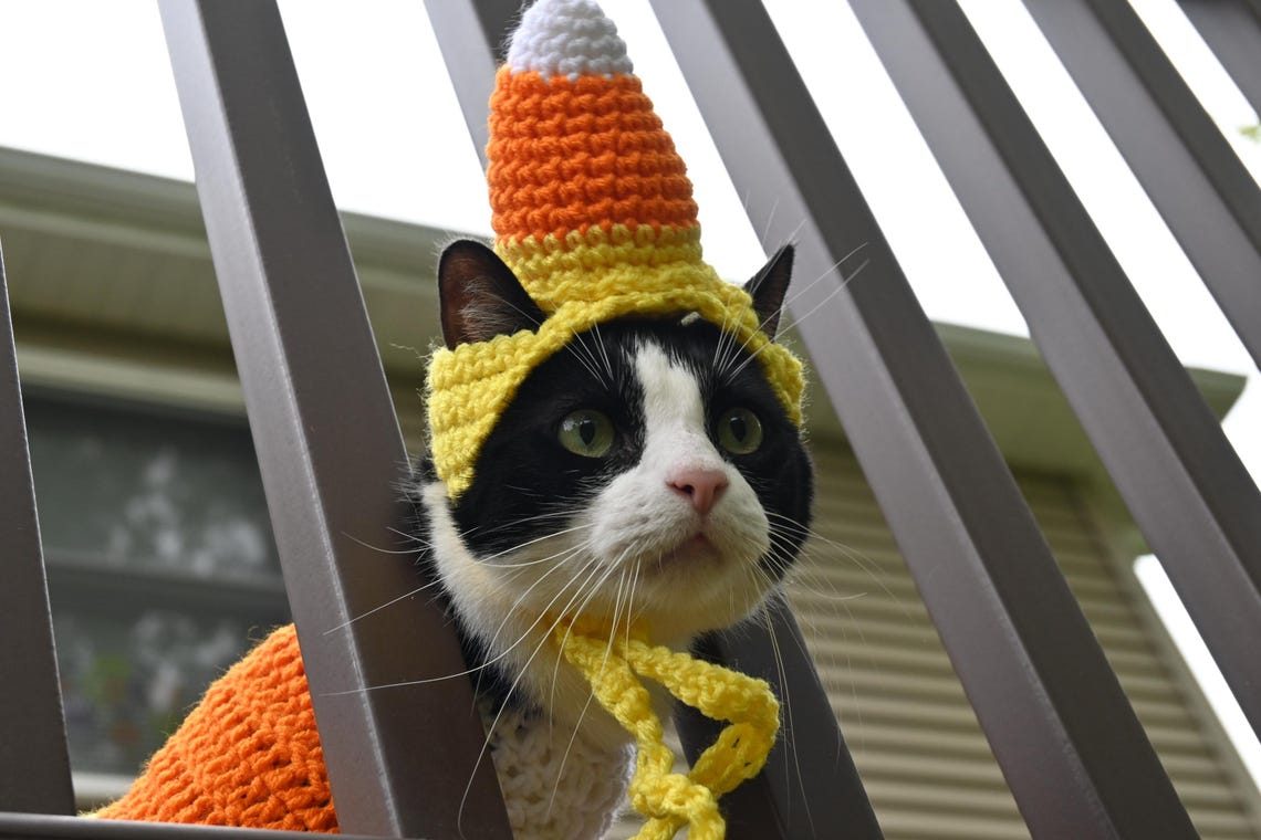 Crochet Candy Corn Cat Costume PDF Pattern Hat and Sweater Set - Etsy