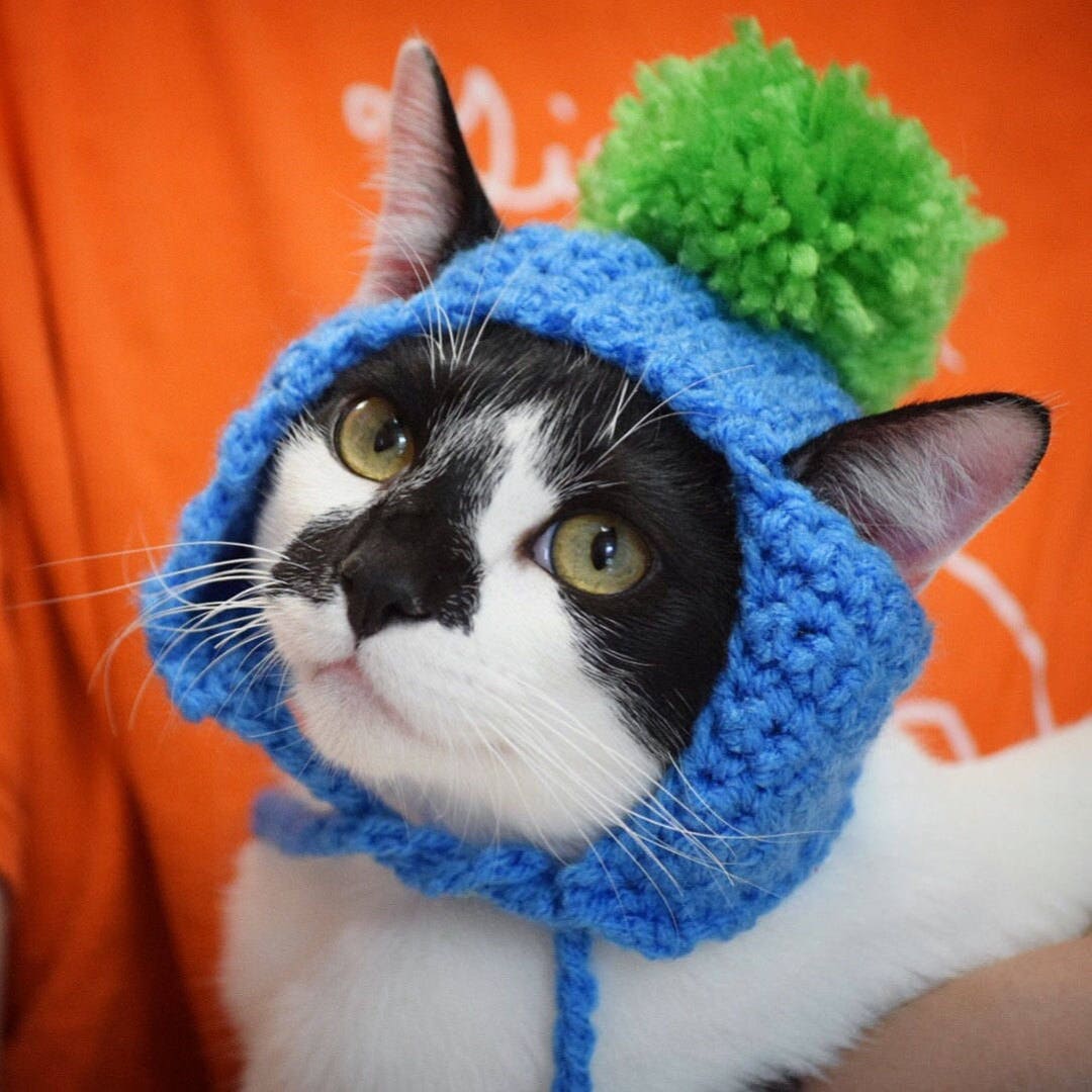 MADE TO ORDER Cat Hat With Pom Pom- Cat Hats- Hats for Cats- Cat ...