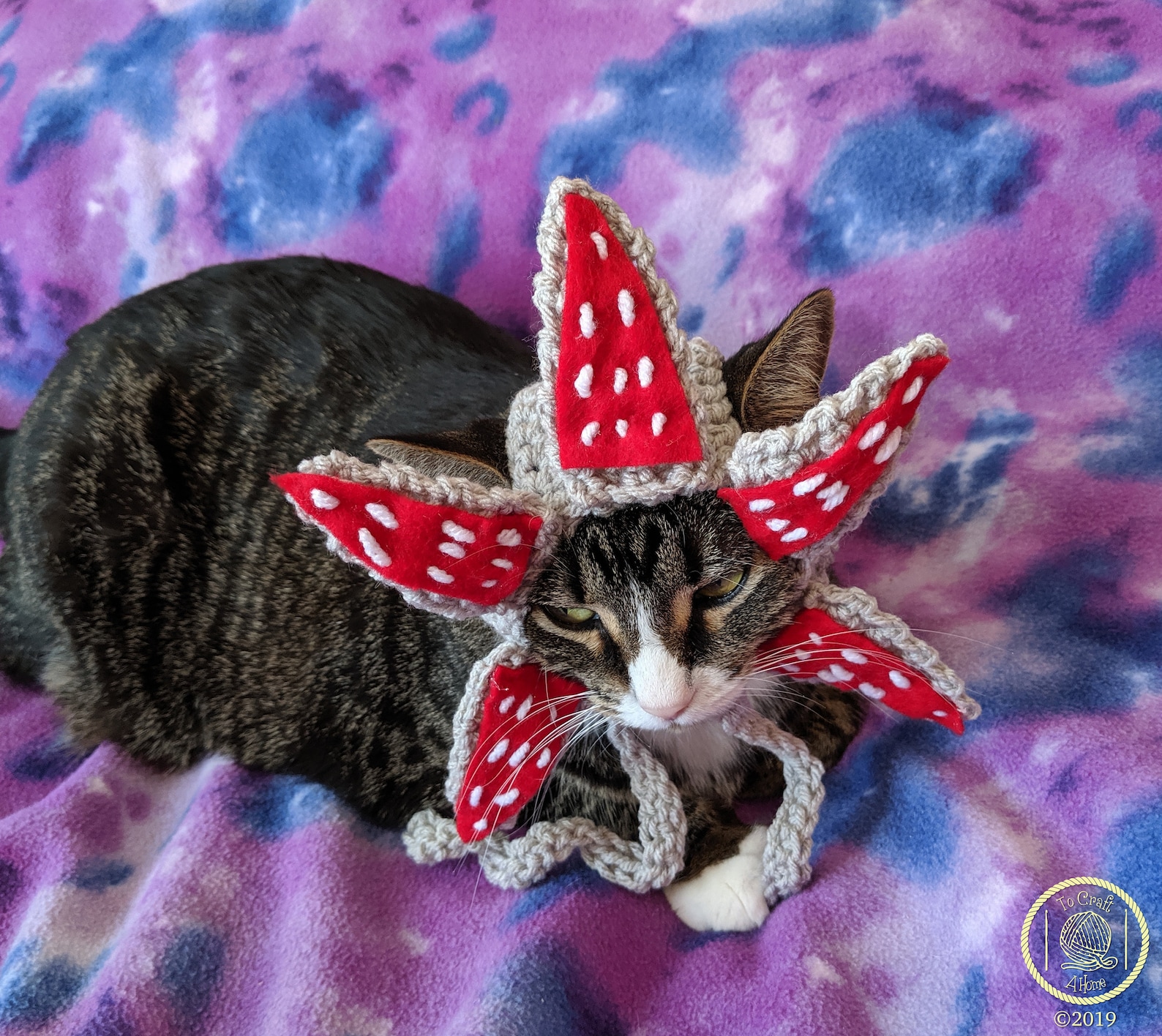 MADE TO ORDER Catogorgon Cat Hat-Cat Costumes-Cat Hats | Etsy