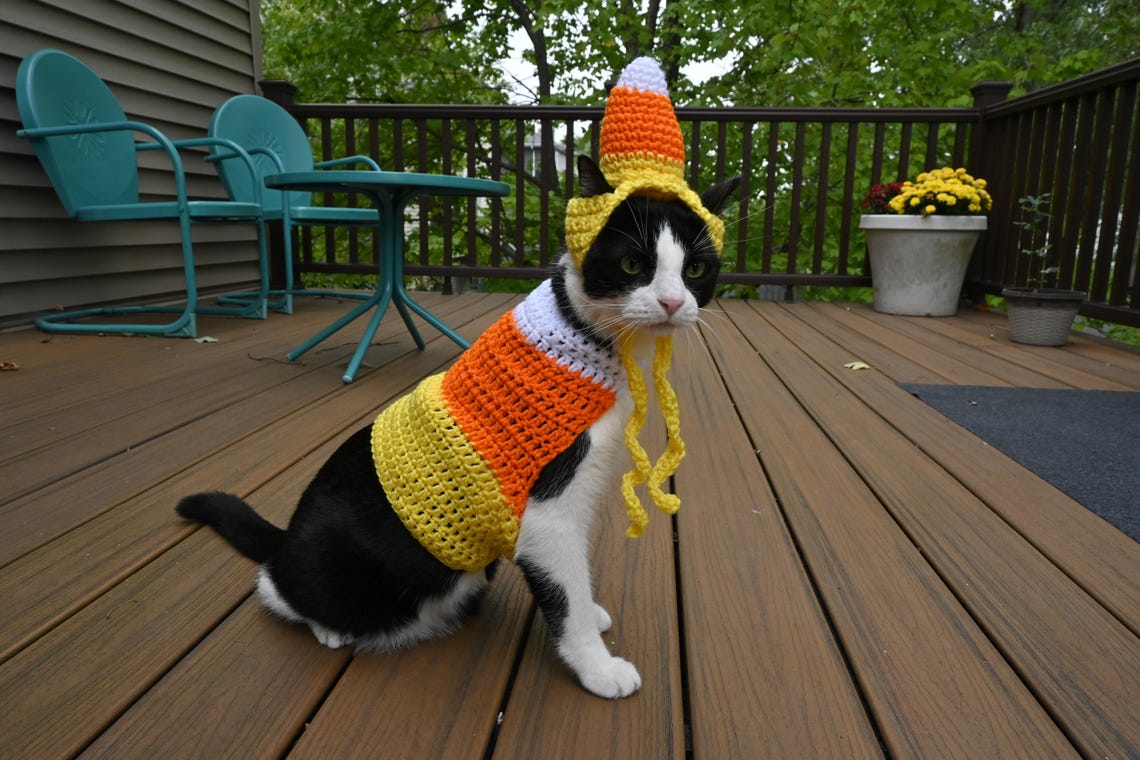 Crochet Candy Corn Cat Costume PDF Pattern Hat and Sweater Set - Etsy