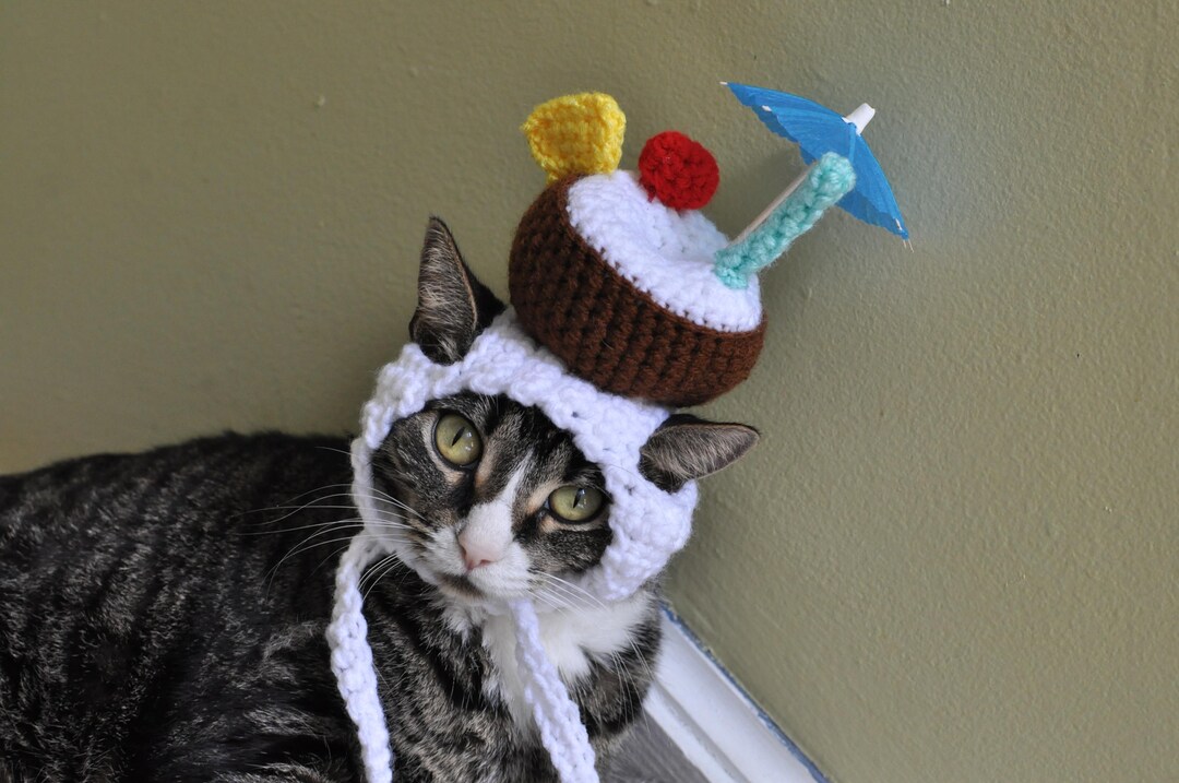 Piña Colada Cat Hat Crochet Pattern PDF FILE - Etsy