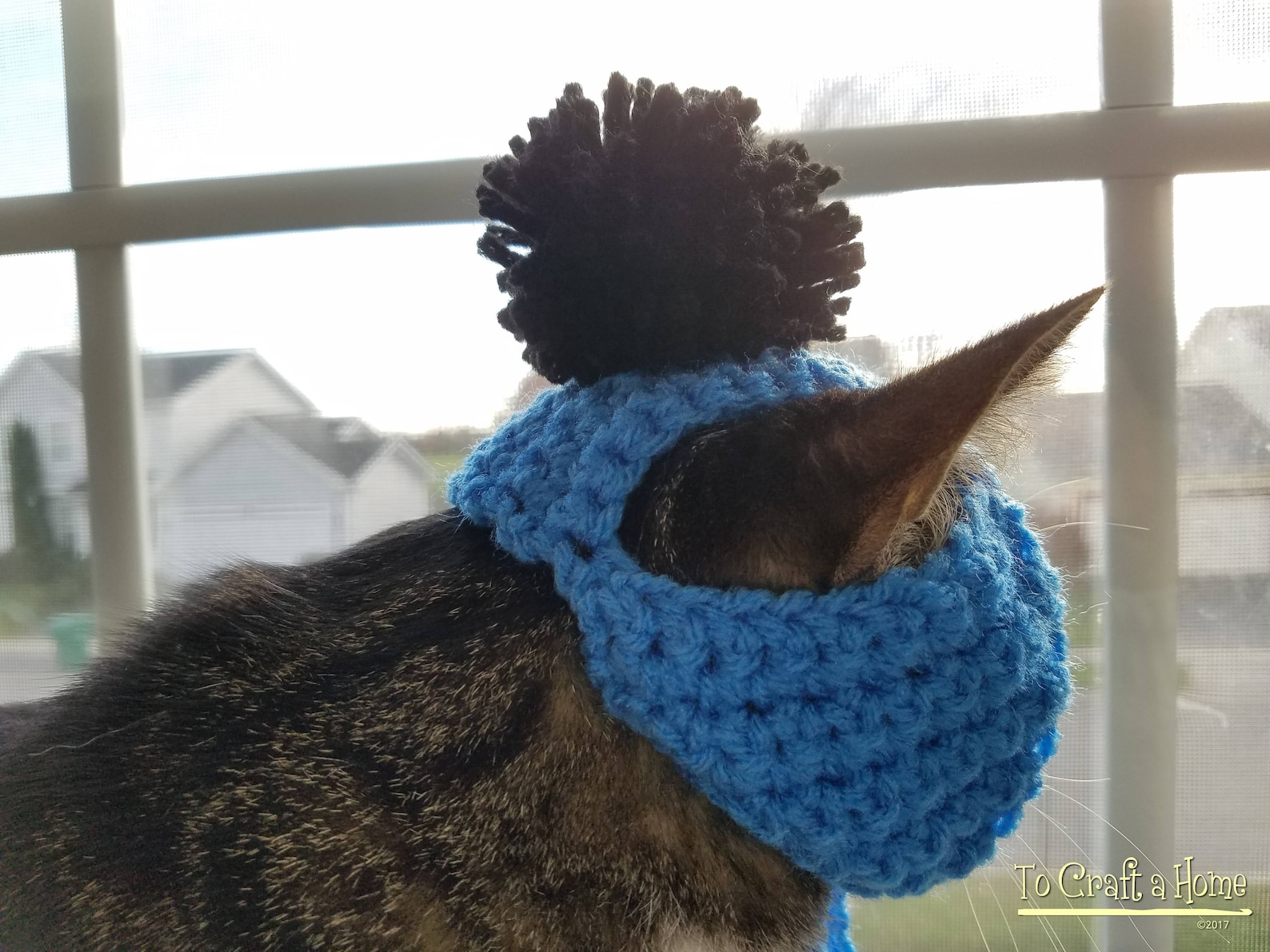 MADE TO ORDER Cat Hat with Pom Pom Cat Hats Hats for Cats | Etsy