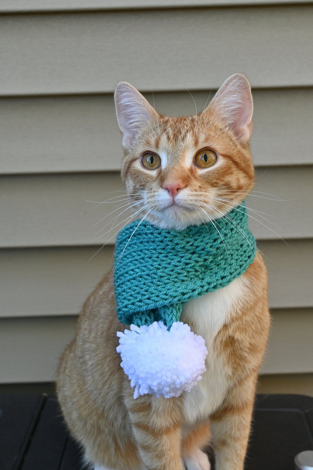 Knitted Cat Scarf-multiple Colors Available - Etsy