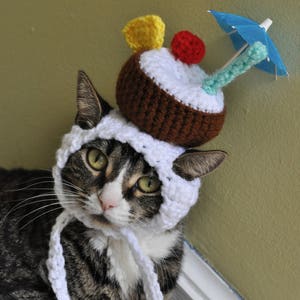 MADE TO ORDER Piña Colada Cat Hat Hats for Cats Costumes for Cats ...