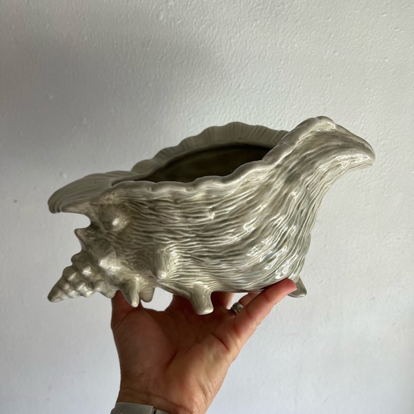 Conch Shell Planter - Etsy