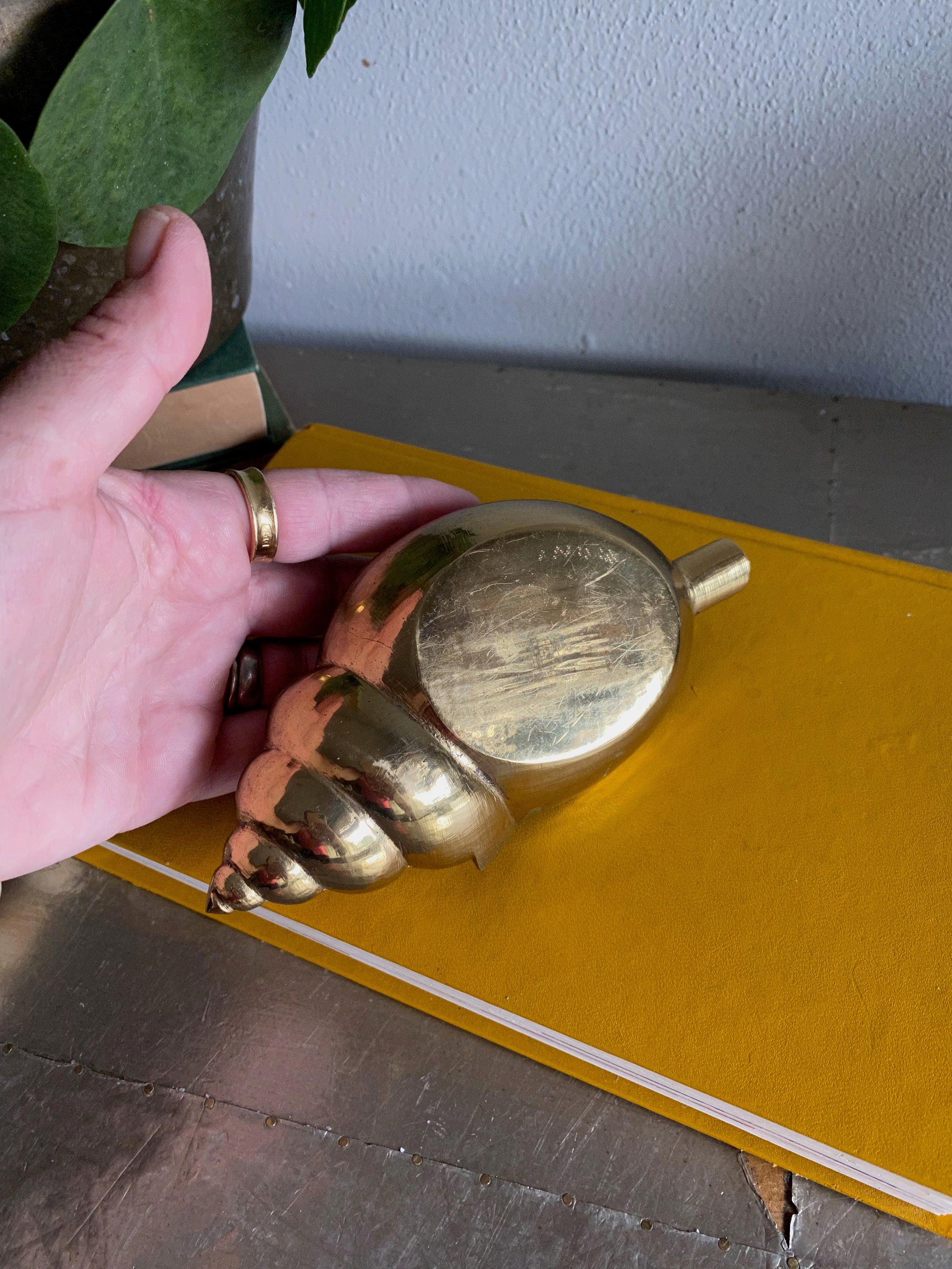 Tobacciana Art & Collectibles vintage solid brass conch shell shaped ...