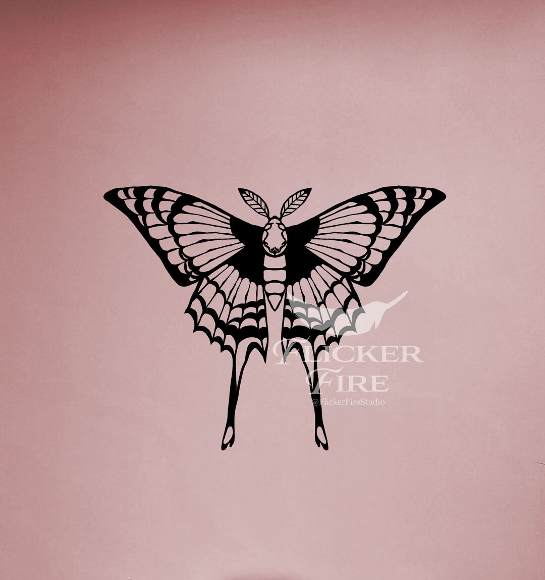 Sunset Moth Decal Moth Decal Moth Decal for Waterbottle - Etsy