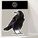 1 Sticker, Rabe, Aufkleber, Outdooraufkleber, vegan - Etsy.de