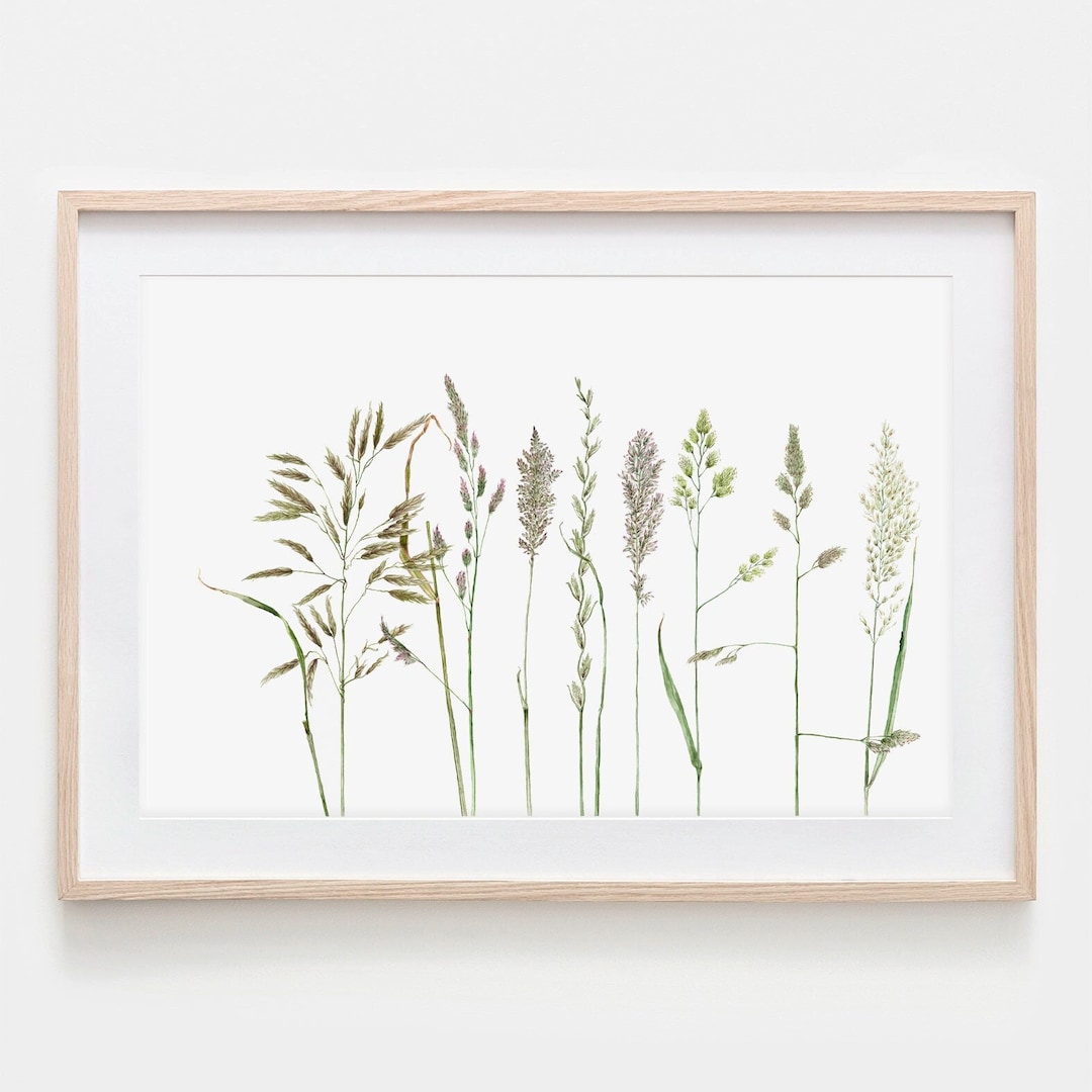 8 Wild Grasses, Grasses, Drawing, Fine Art Print, Traditional Work ...