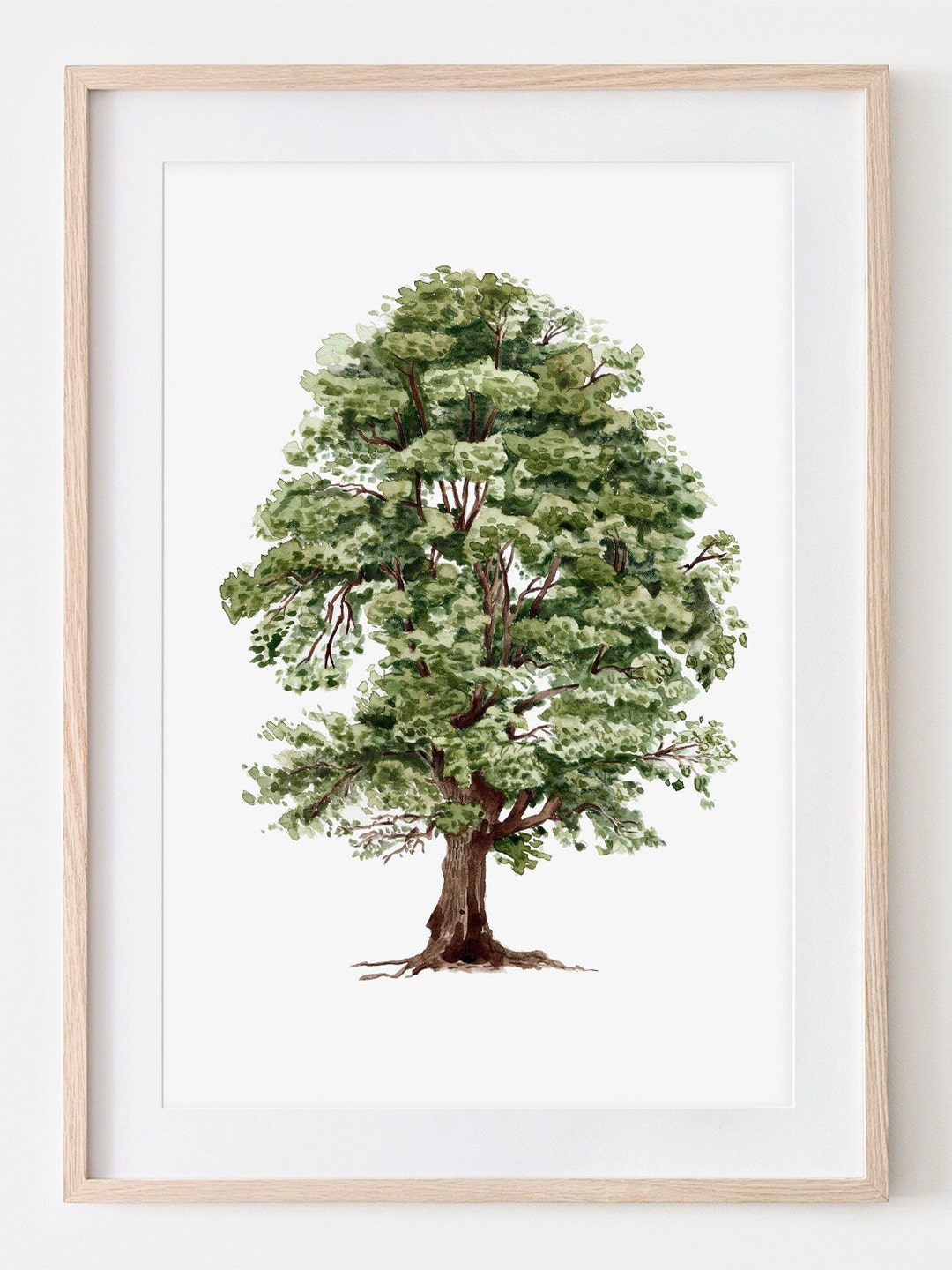Linden Tree, Deciduous Trees, Drawing, Tree Poster, Fine Art Print ...