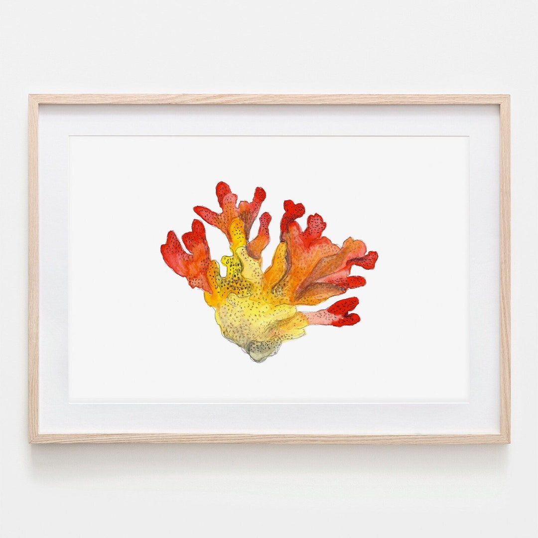 Watercolor Stone Coral Portrait Drawing Fine Art Print, Giclée Print ...