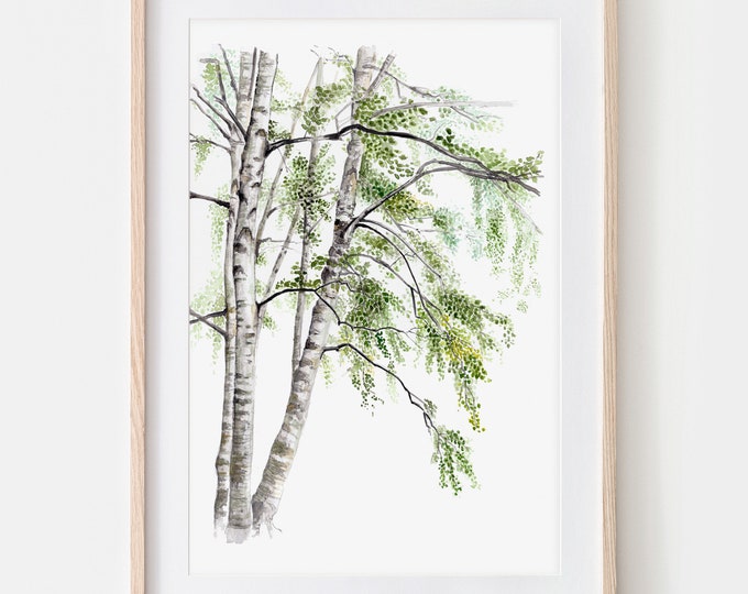 Birch, Deciduous Trees, Drawing, Tree Poster, Fine Art Print ...