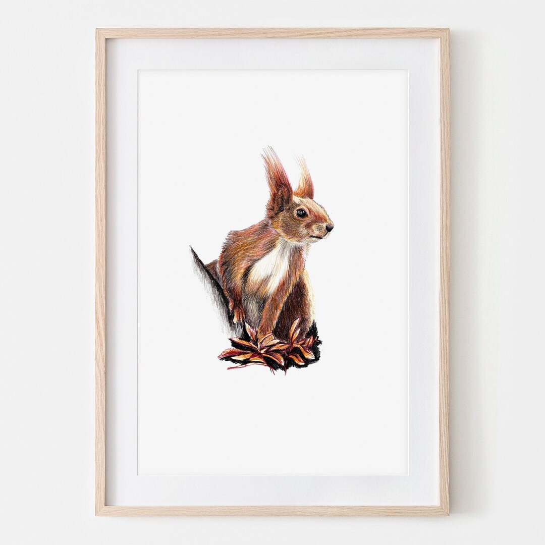 Squirrel Portrait, Drawing, Fine Art Print, Giclée Print, Animal Poster ...
