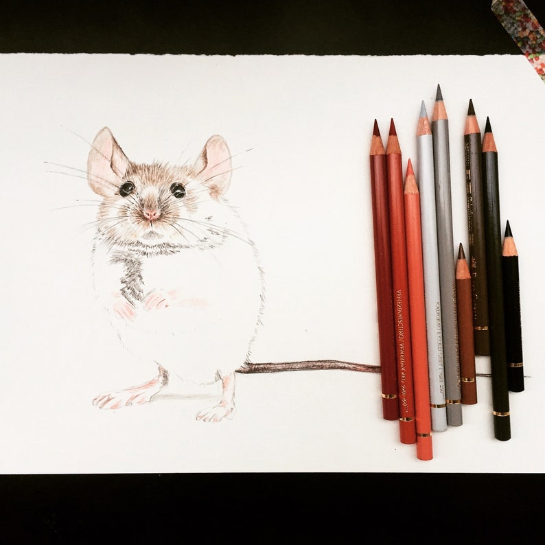 House Mouse, Drawing, Fine Art Print, Giclée Print, Animal Poster ...