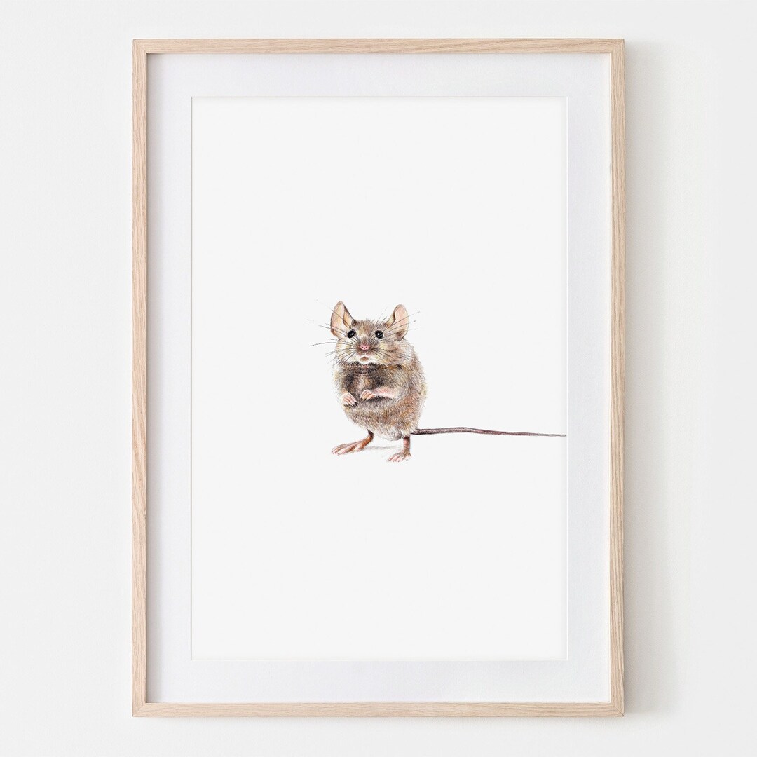 Illustration House Mouse Drawing Fine Art Print, Giclée Print Poster ...