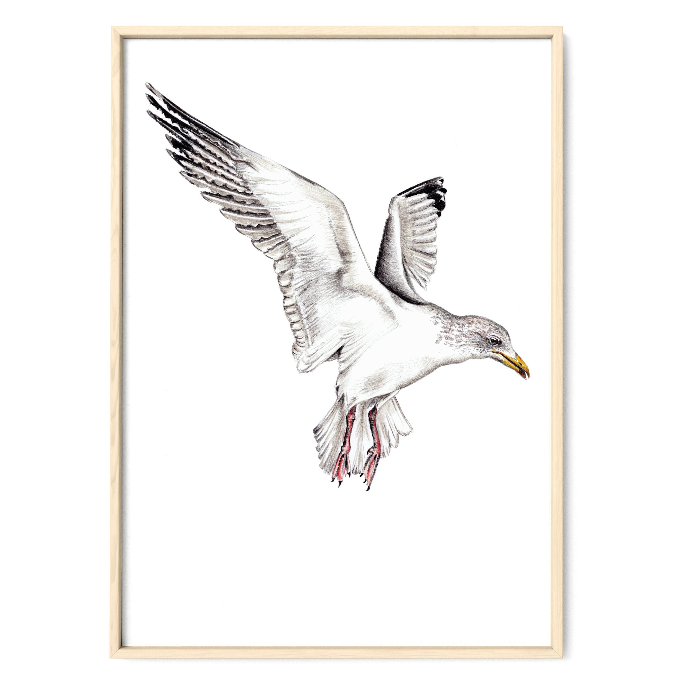 How To Draw A Seagull