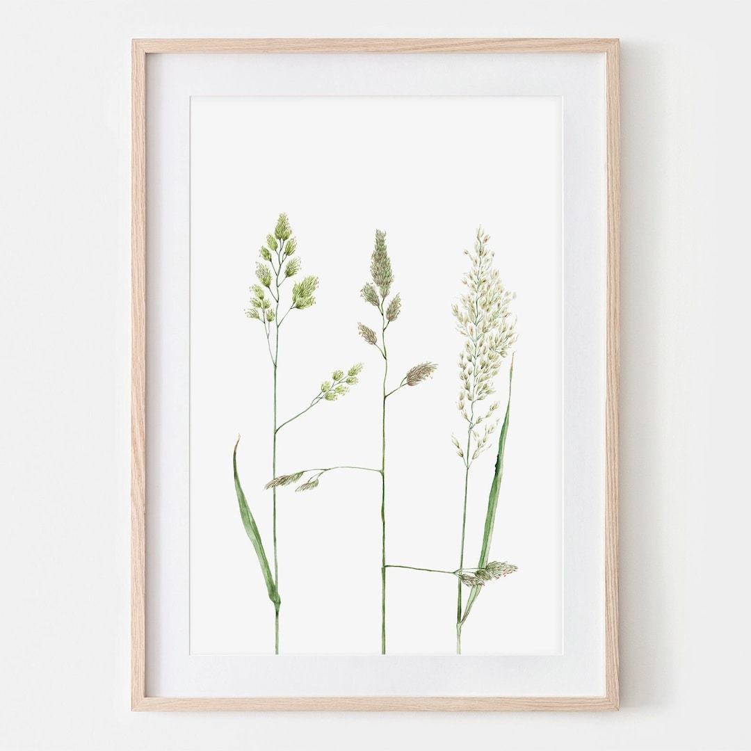3 Wild Grasses, Grasses, Drawing, Fine Art Print, Traditional Work ...