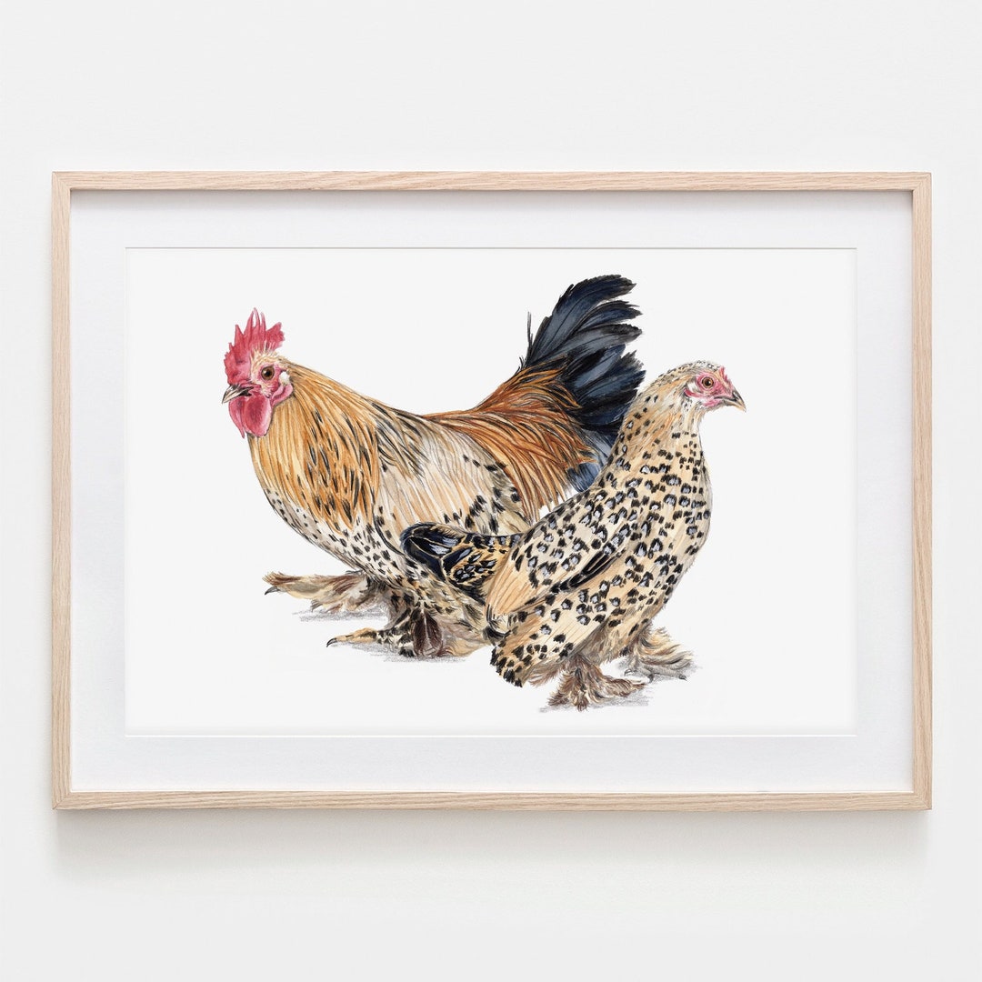 Bantam Rooster and Hen Portrait Drawing Fine Art Print, Giclée Print ...