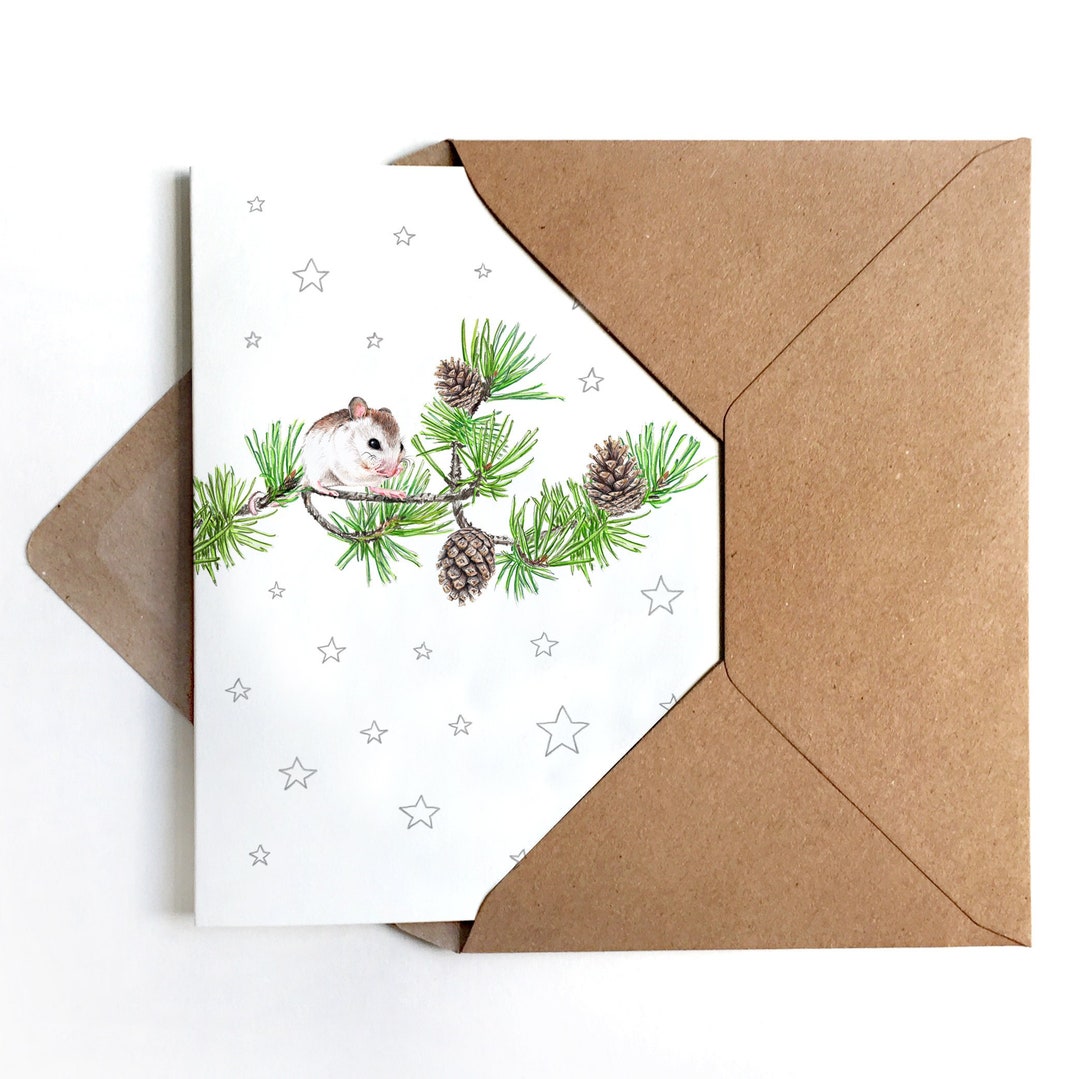 Bilch en rama de pino tarjeta de felicitación Navidad dibujo naturaleza ...