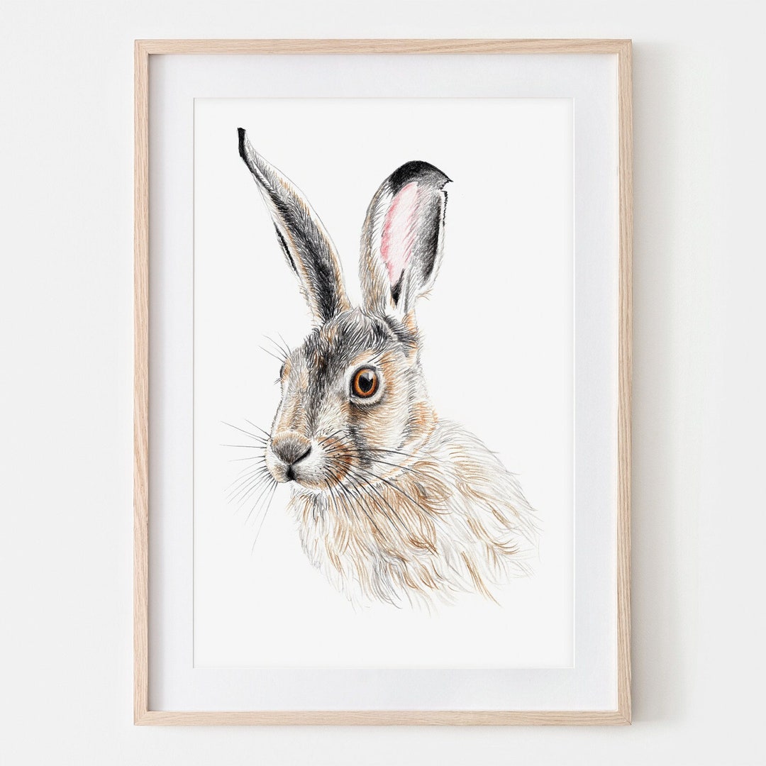Hare Portrait, Drawing, Fine Art Print, Giclée Print, Animal Poster ...