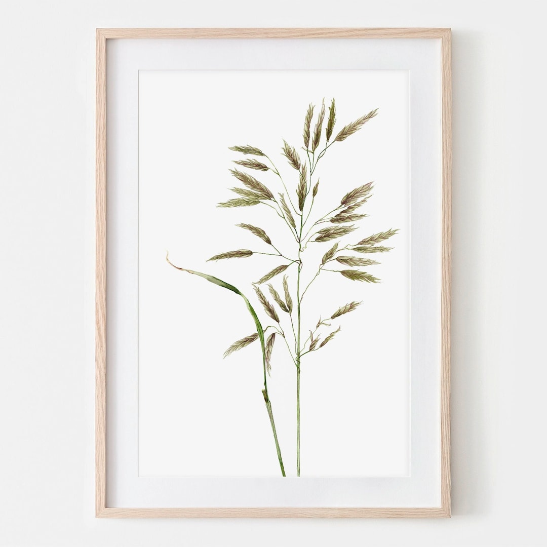 Wild Oats, Wild Grasses, Drawing, Fine Art Print, Traditional Work ...